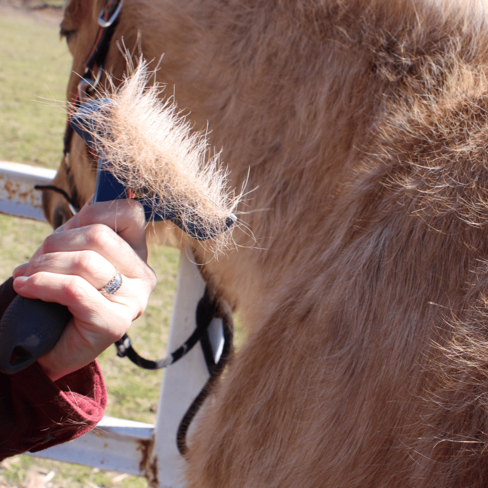 Shedding Tools for Horses - The Narrow Trail