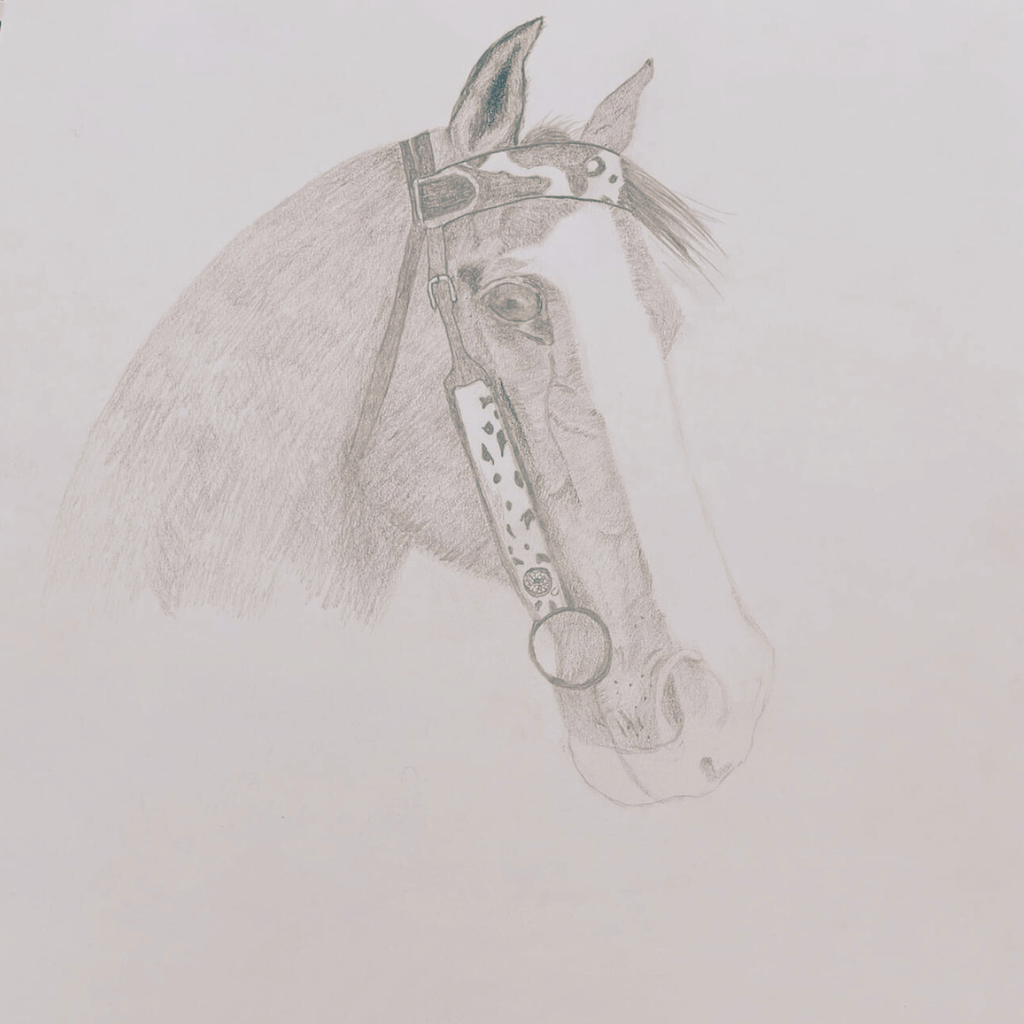 Horse Memorial Ideas - The Narrow Trail